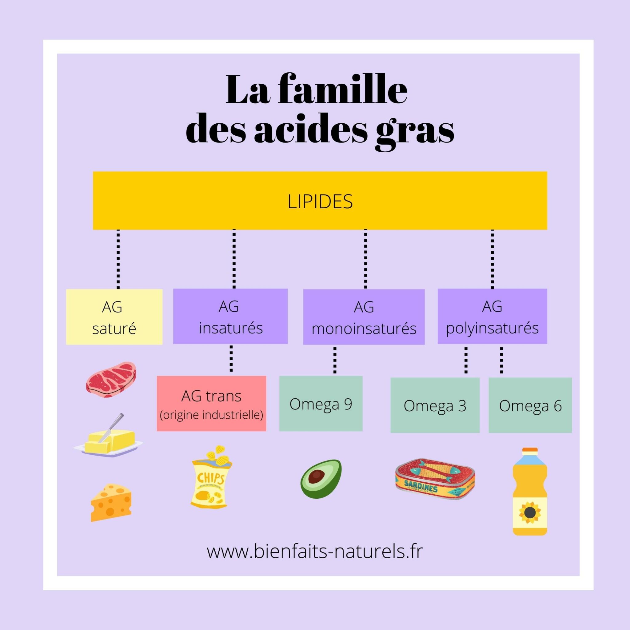 Qu'est-ce que le bon gras ? - Bienfaits Naturels